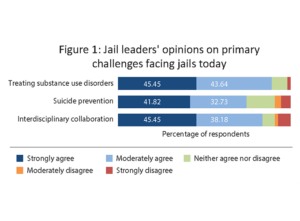 Challenges Facing Jails Today – and Tomorrow: Findings From an NCCHC ...
